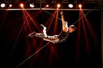 Aerial Straps - Performing Arts Acts - StageLync