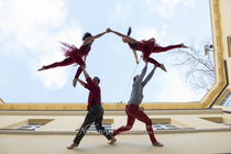 The Flock Project - Performing Arts Shows - StageLync