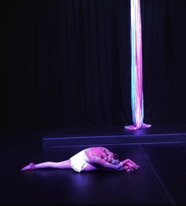 White Swan - Performing Arts Acts - StageLync