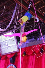 Hanging Perch - Performing Arts Acts - StageLync