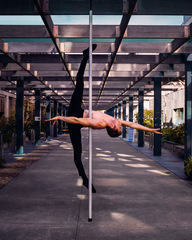 Flying Pole Act - Ron Oppenheimer - Performing Arts Acts - StageLync