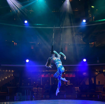 "Experience" - 2024 - Performing Arts Acts - StageLync