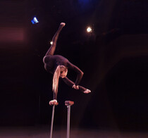HANDBALANCE - Fever - Circus Acts - CircusTalk