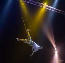 Skywalk Trapeze (Solo) - Performing Arts Acts - StageLync