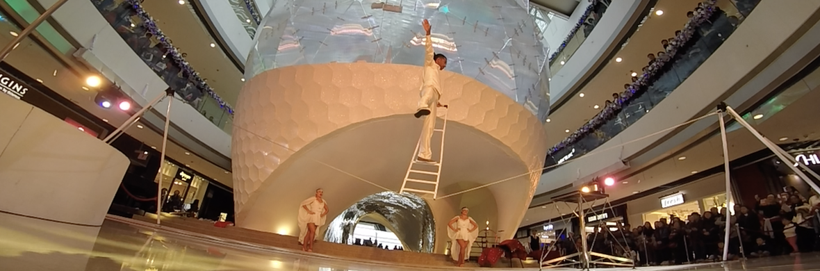 Slack wire - Performing Arts Acts - StageLync