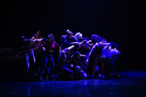 DIVE IN - Performing Arts Shows - StageLync