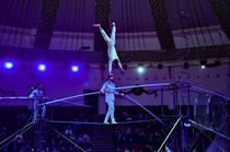 Tight Rope act - Performing Arts Acts - StageLync